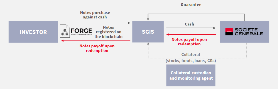 Smart Cash | SG Forge
